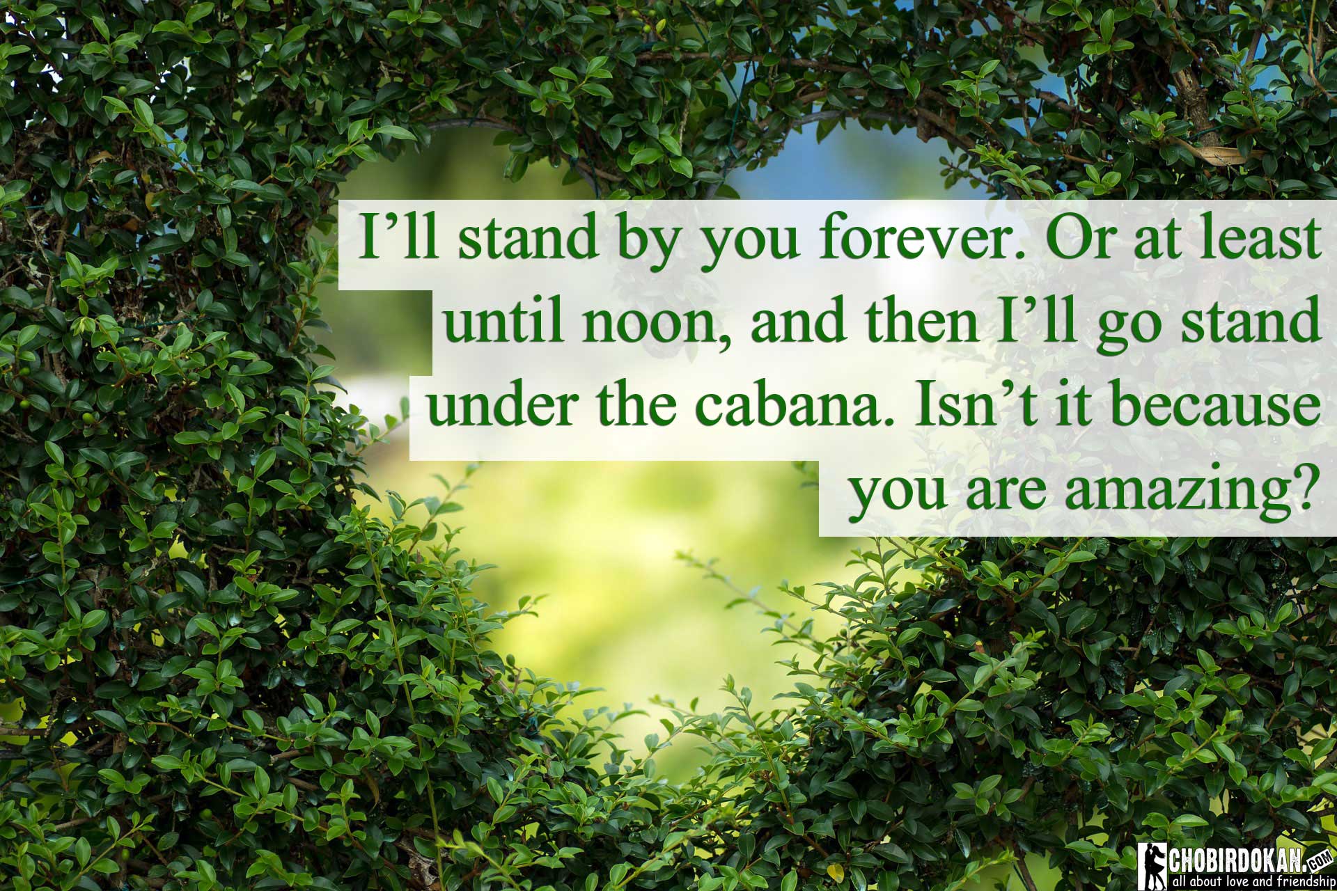 You Are Amazing Quotes For Him and Her With Images -Chobir Dokan